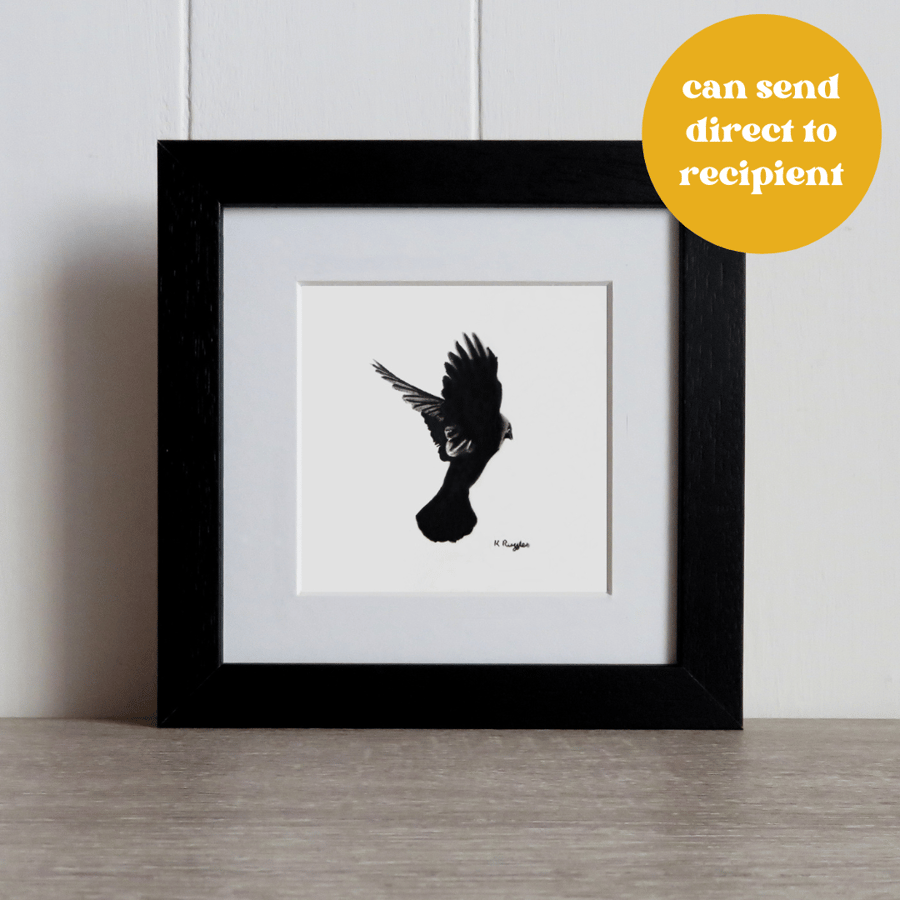 Jackdaw in flight original charcoal pencil draw... - Folksy