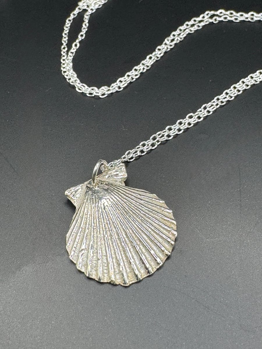Silver Clam Shell Necklace - Folksy
