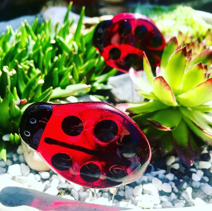 Fused Glass ladybug ladybird garden or plant po... - Folksy