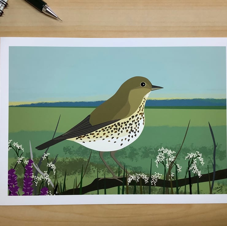 Song thrush - bird art print - garden birds - Folksy