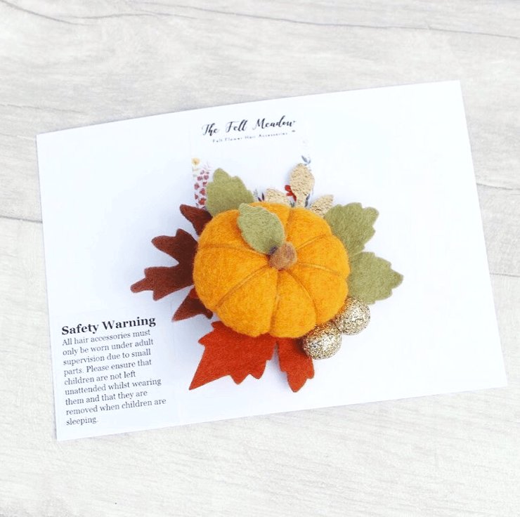 Autumn Hair Clip, Pumpkin Hair Piece, Orange He... - Folksy