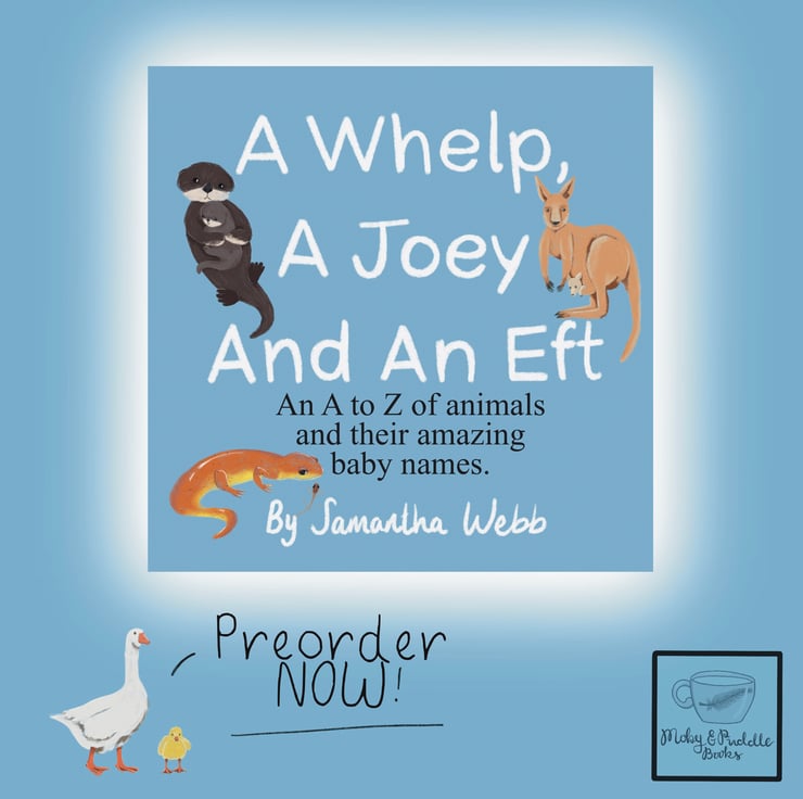 Preorder - A Whelp, A Joey And An Eft. An Anima... - Folksy