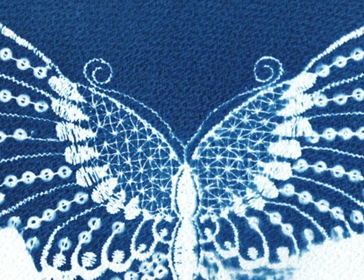 SALE! 'Butterfly lace' Original Cyanotype - Folksy