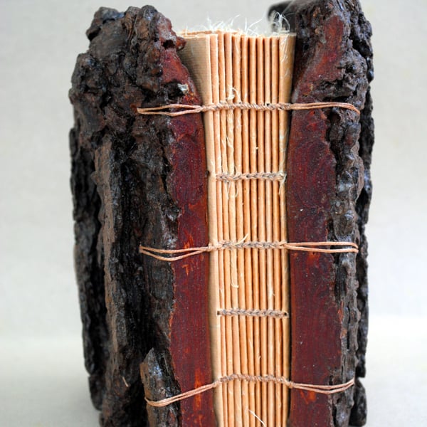 Tree Bark Book I. Handbound made from Monterey ... - Folksy