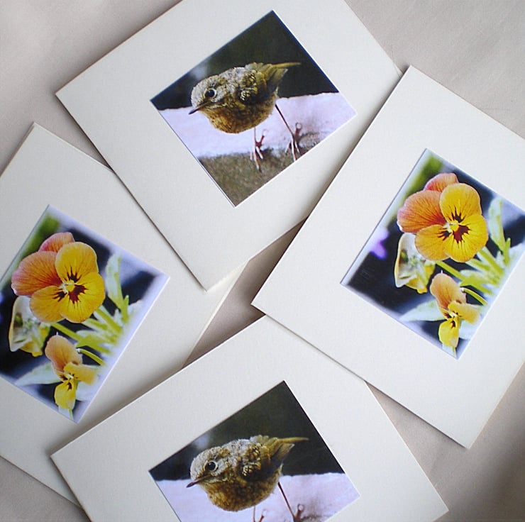 Note cards,Set of notelets,Robin,Thank you,Get ... - Folksy