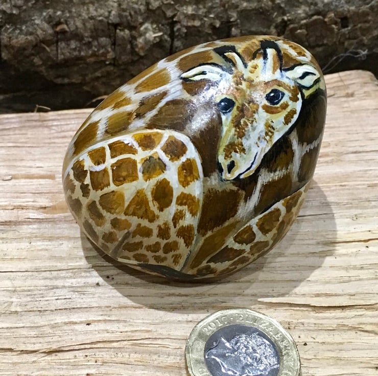 Giraffe painted pebble garden rock art wildlife... - Folksy