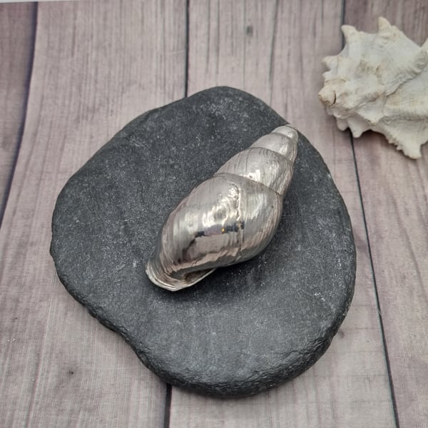 Real Japanese Land Snail shell preserved in sil... - Folksy