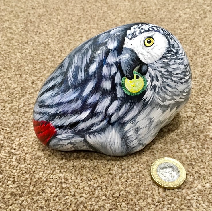 African grey parrot painted pebble garden rock ... - Folksy