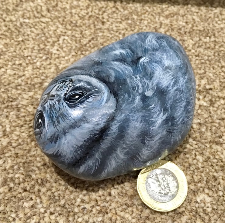 Seal hand painted pebble garden rock art wildli... - Folksy