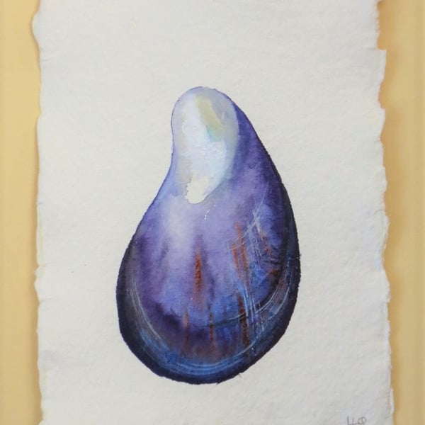 Mussel sea shell original watercolour painting ... - Folksy