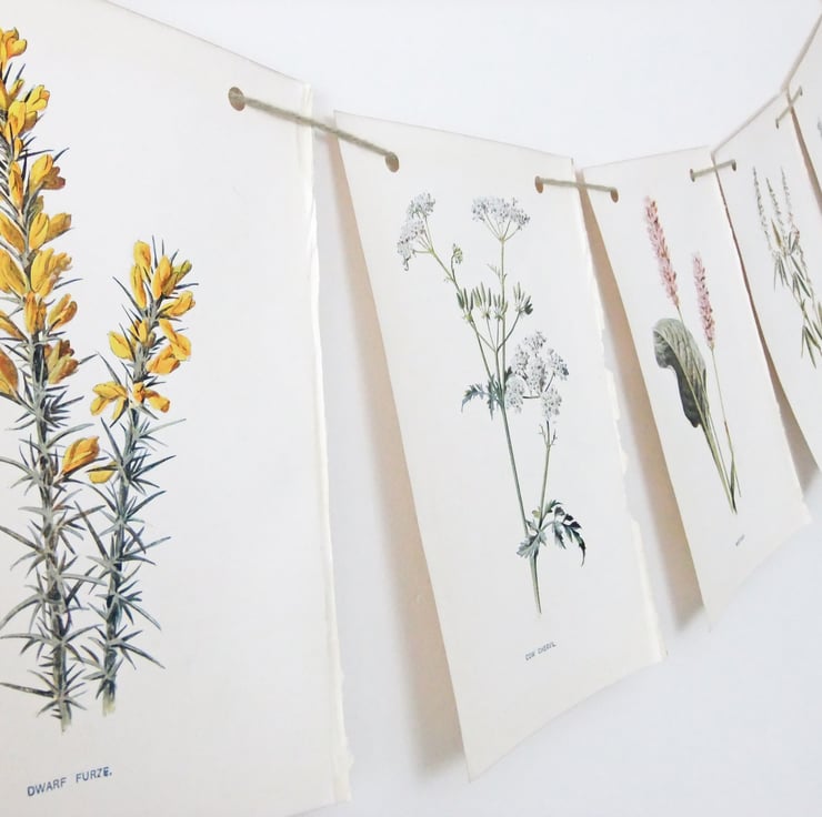 Paper Bunting - Folksy