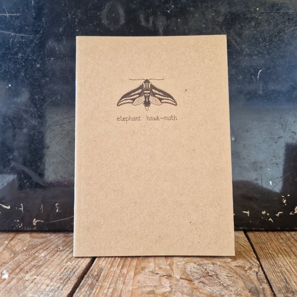 Elephant Hawk-moth Notebook - Folksy