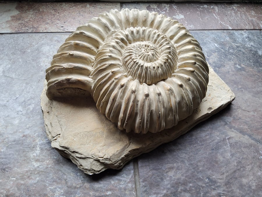 Ammonite hand-made sculpture faux fossil in pla... - Folksy