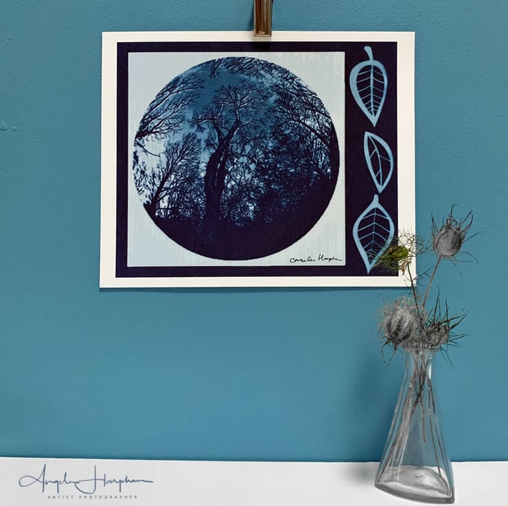 Digital Print from original Cyanotype print - B... - Folksy