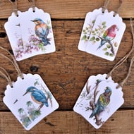 GT0092 Pack of 8 Bird Gift Tags - Folksy