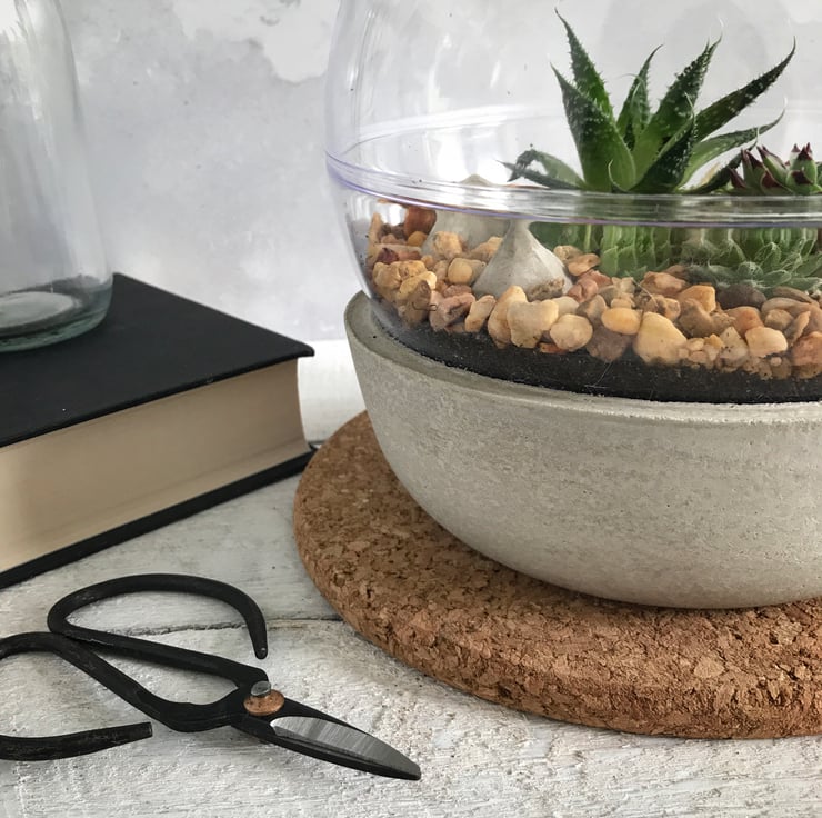Concrete Terrarium Succulent & Aloe planter - Folksy