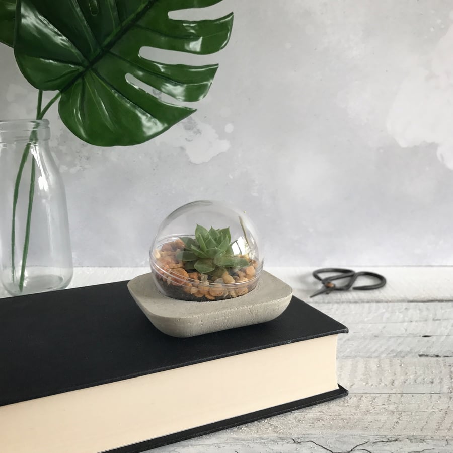 Concrete Terrarium mini Succulent planter II - Folksy