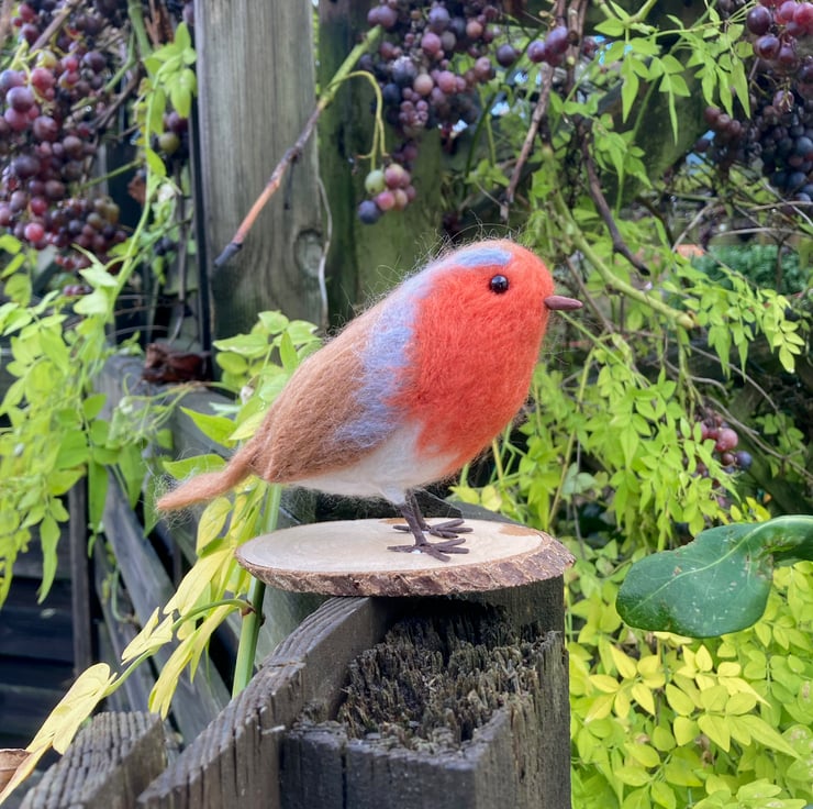 Needle felted robin decoration, woollen sculpture - Folksy