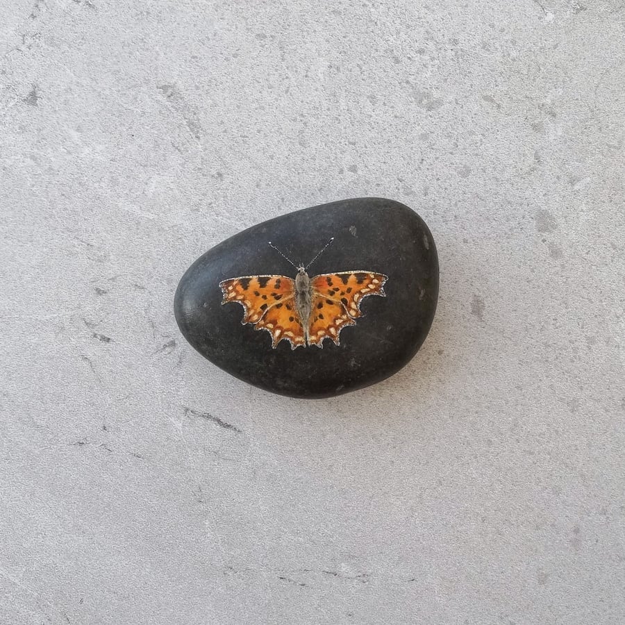 Original Art Comma Butterfly Hand Painted Stone - Folksy