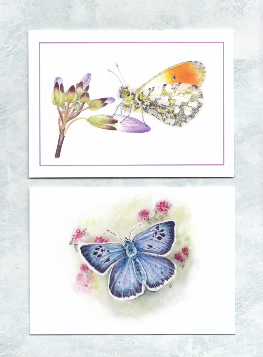 Butterfly Greetings Cards, 2 Card Pack - Folksy