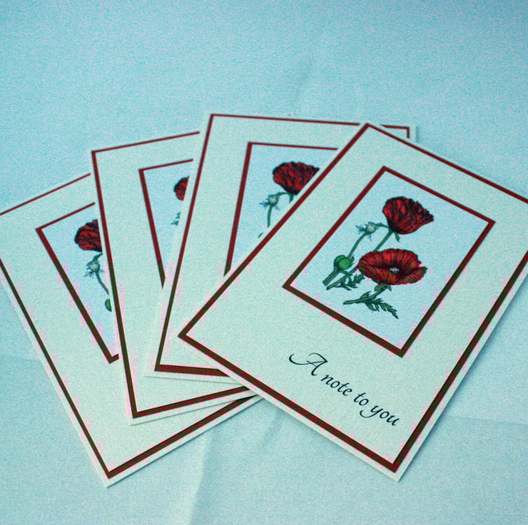 Set of 4 poppy note cards - Folksy