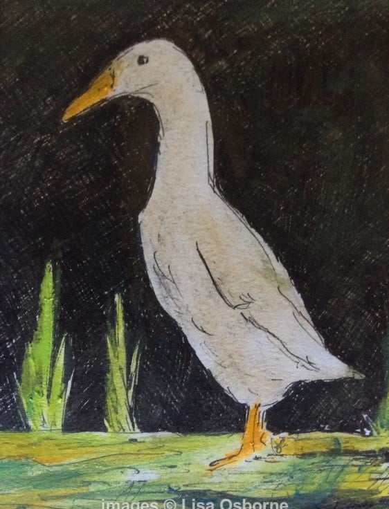 Runner duck - original pen, ink and acrylic. - Folksy