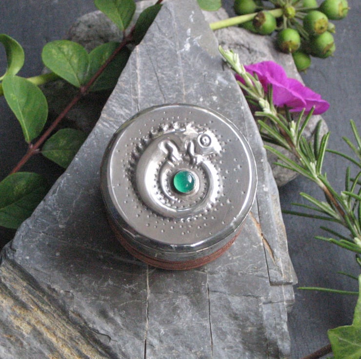 Chameleon Box - Folksy