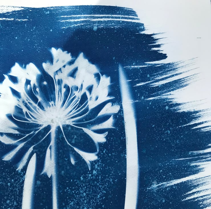 Summer Art, Botanical Art, Cyanotype Art, Ideal... - Folksy