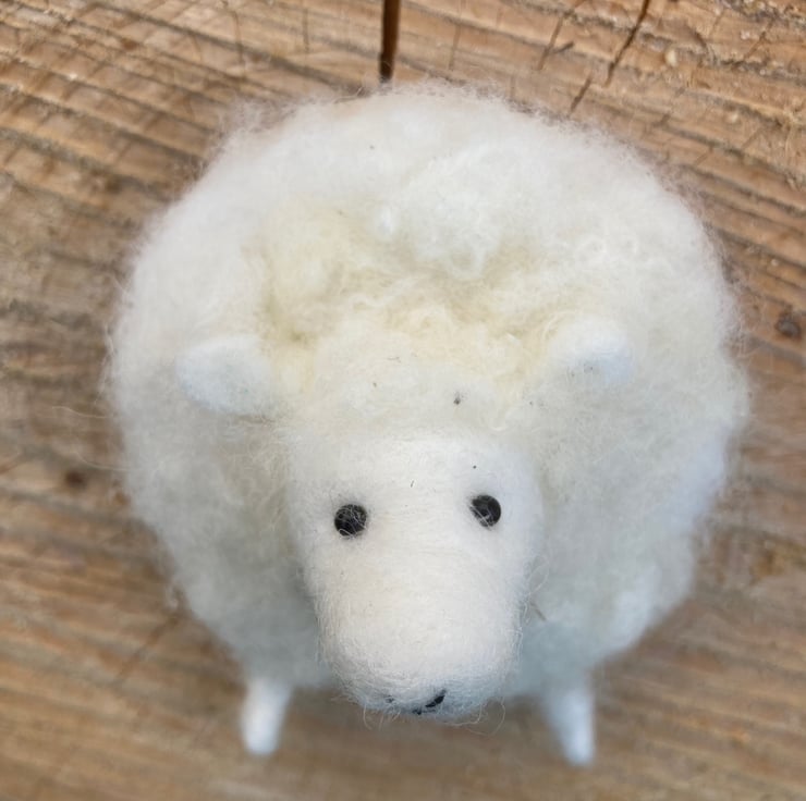 3D mini sheep wall plaque needle felted - Folksy