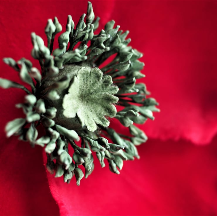 Red Poppy brooch, fabric poppy corsage, cotton ... - Folksy