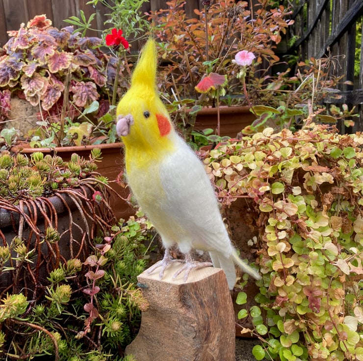 White needle felted cockatiel - Folksy