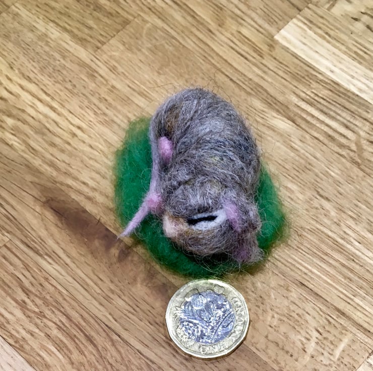 Mouse needle felted sleeping on a little green ... - Folksy