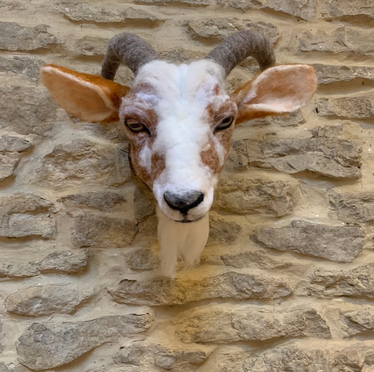 Handmade Faux Taxidermy Goats Head - Folksy