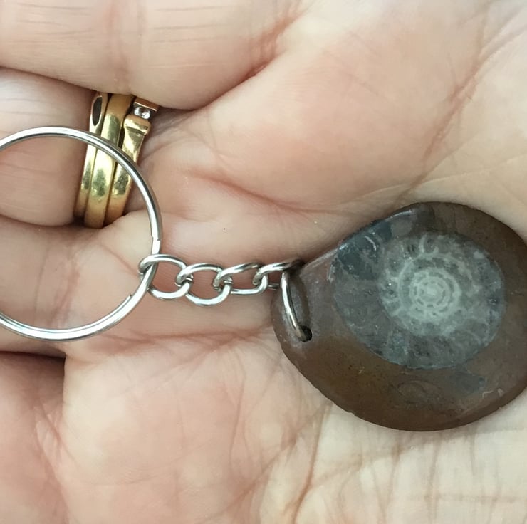 Pretty Little Ammonite Fossil Keyring or Handba... - Folksy