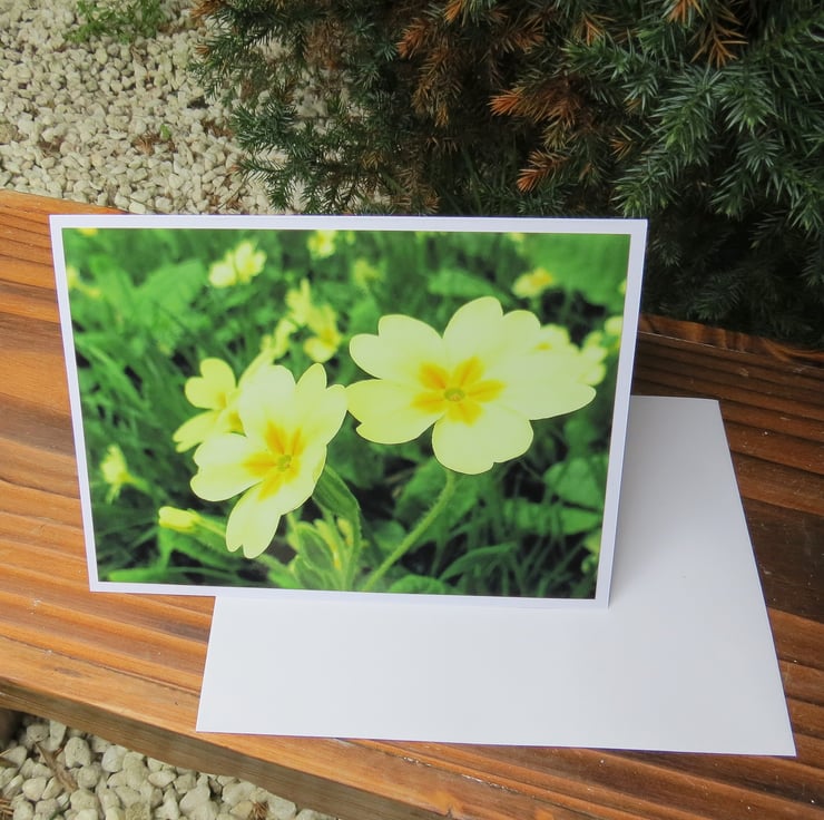 Primrose Yellow. A card featuring an original ... - Folksy