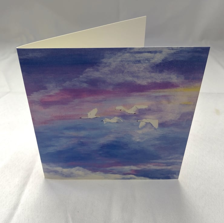 Galloway Wings - Greetings card - Folksy