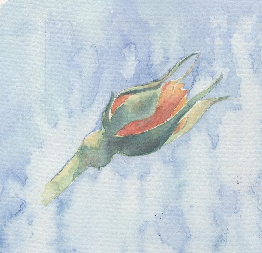 Rose Bud Original Watercolour Painting OOAK - Folksy