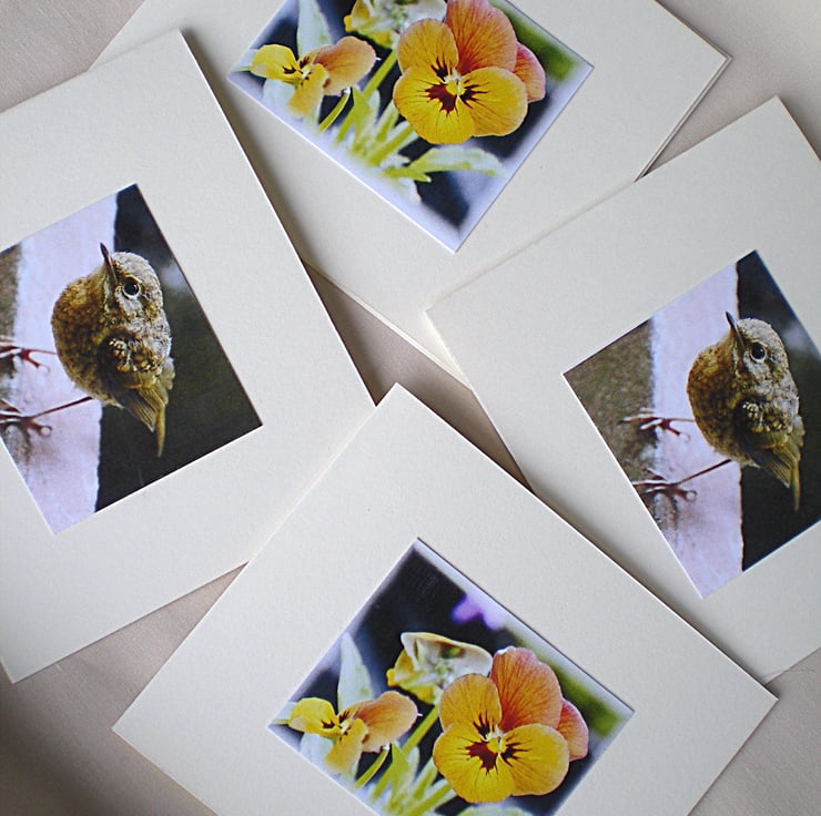 Note cards,Set of notelets,Robin,Thank you,Get ... - Folksy