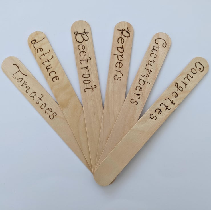 Handburnt large wooden vegetable plant labels - Folksy