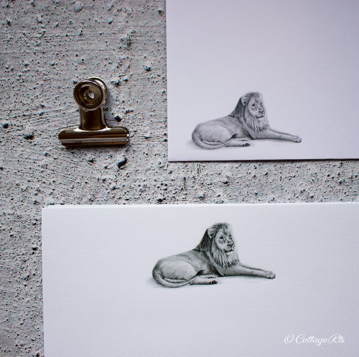 Lion Graphite Drawing Letter Writing Paper Hand... - Folksy