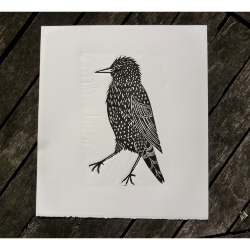 Original lino cut print Mister Starling - Folksy