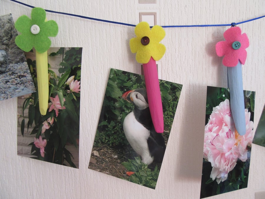 Photo hanger, notice board, quirky decor - Folksy