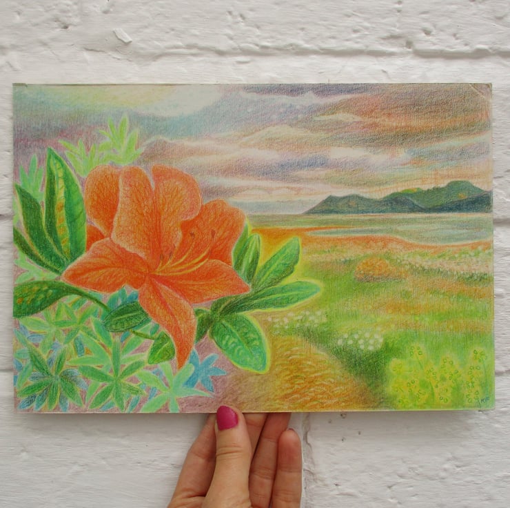 Rhododendron, Skipness Beach - Original Coloure... - Folksy