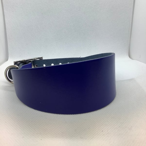 Royal Blue leather collar for greyhound or whippet - Folksy