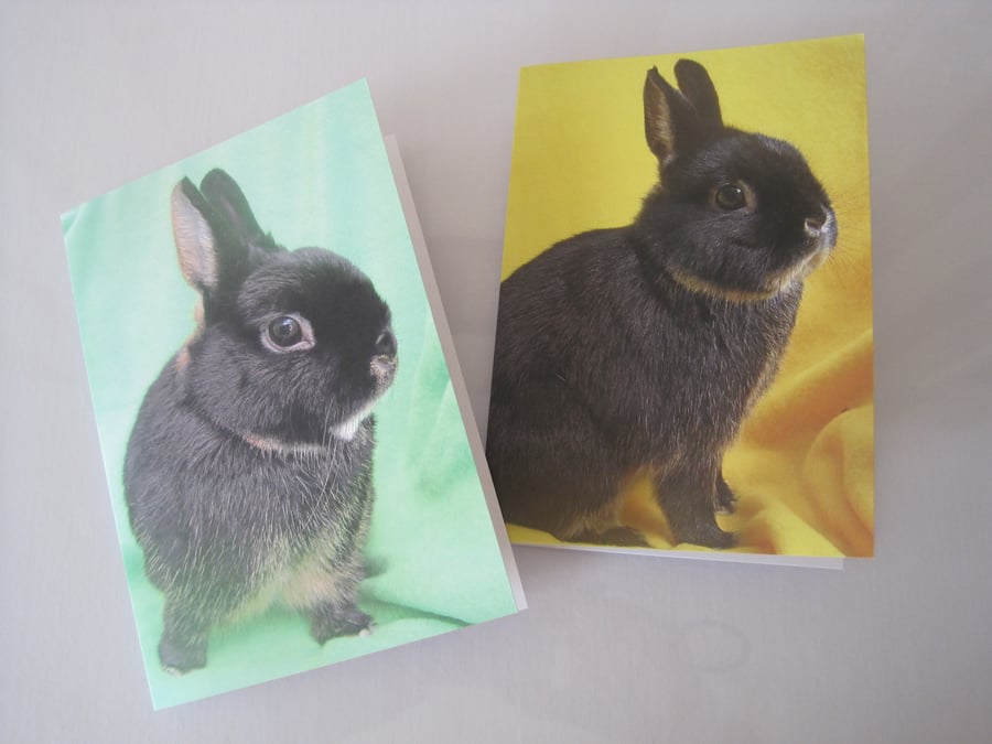 Little Black Rabbit blank greetings cards x 2 - Folksy