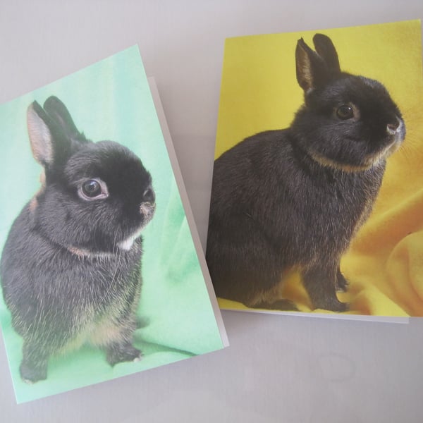 Little Black Rabbit blank greetings cards x 2 - Folksy