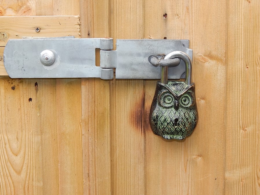Owl Padlock Verdigris finish with two keys. - Folksy