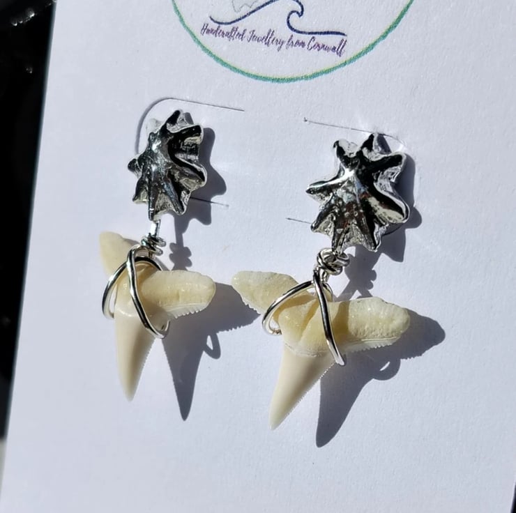 Sharks Tooth & Seashell Drop Earrings Fine ... - Folksy