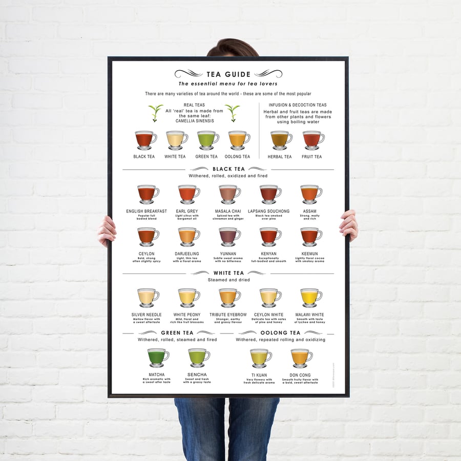 Tea poster of world teas - White Background. A ... - Folksy