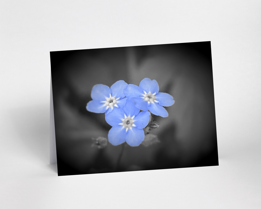 Single A5 Forget Me Not Blank Card - Folksy